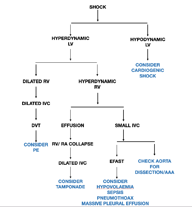 The hypotensive patient :: POCUS